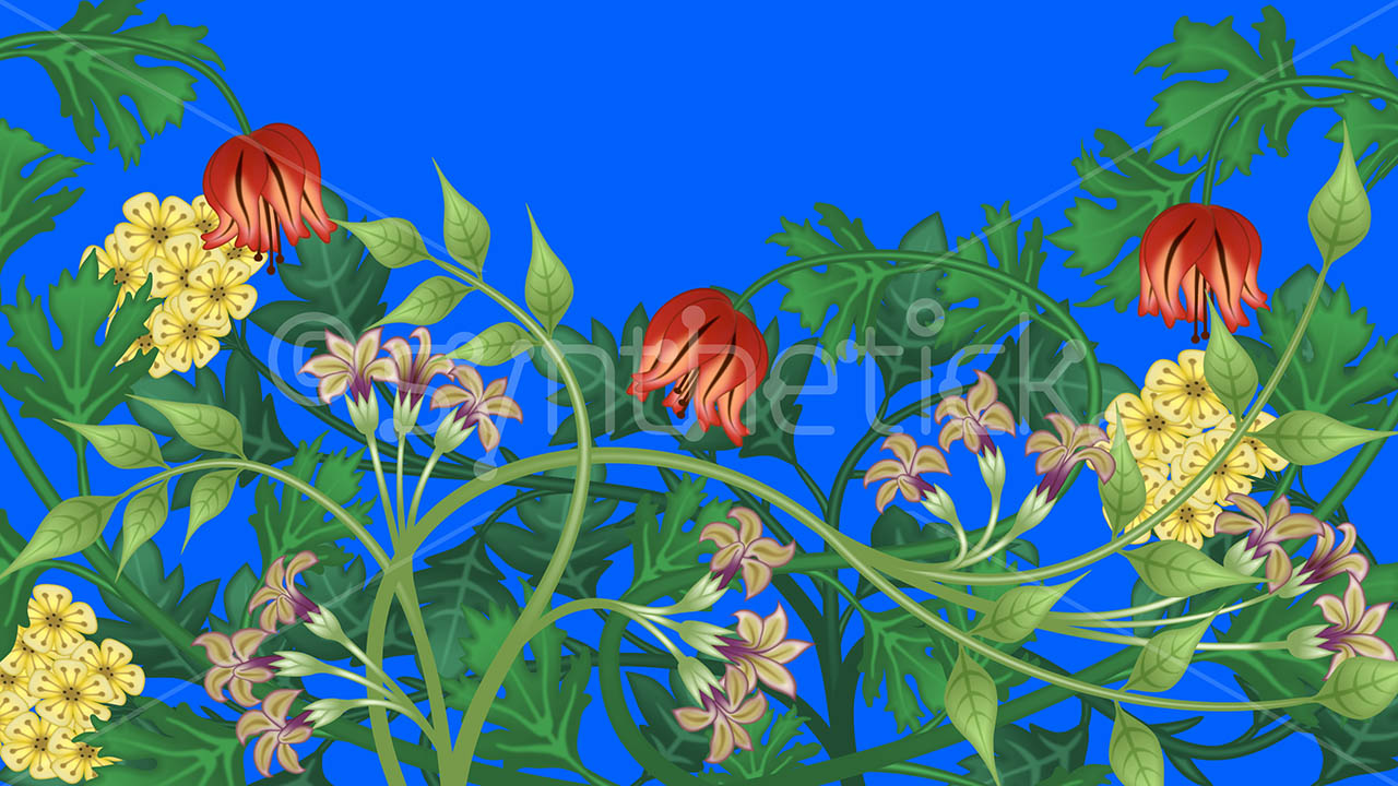 Blue Screen Growing Plants | Stock Video by Synthetick