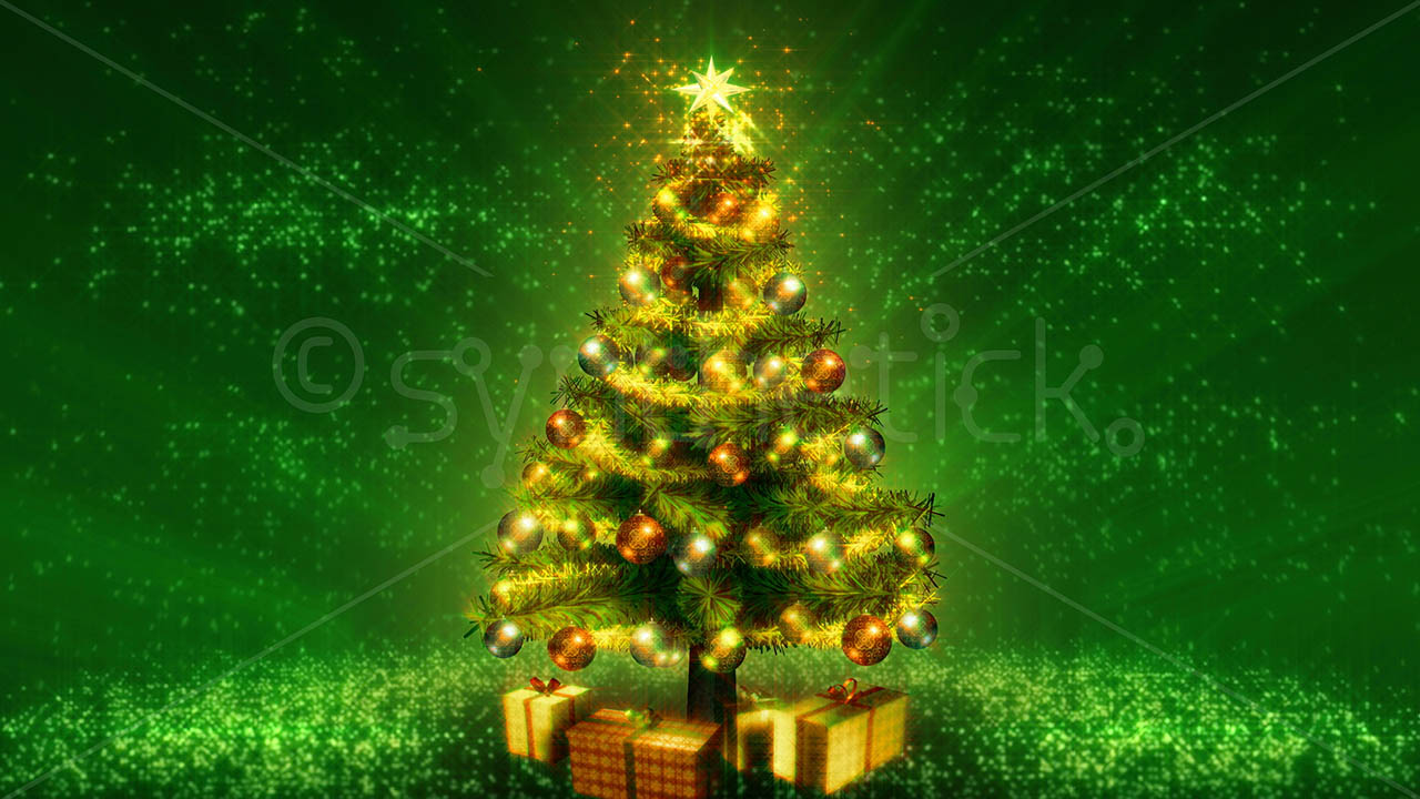 Green Growing Christmas Tree | Stock Video by Synthetick